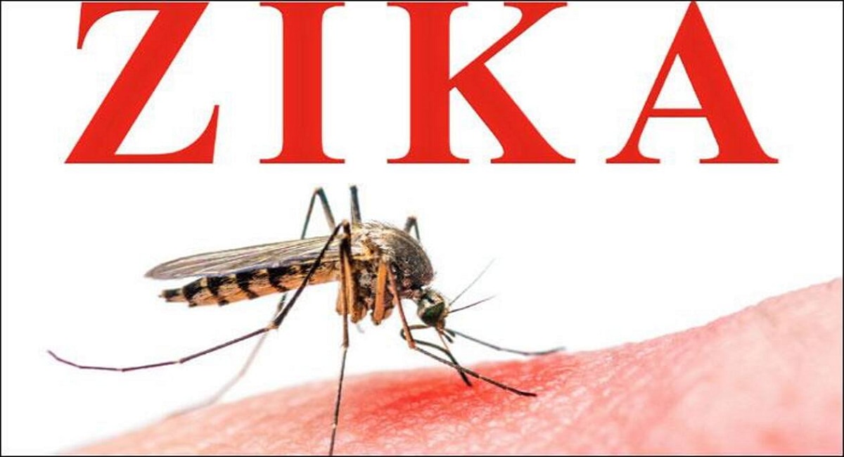 after pune Zika virus Case Found in karnataka on monday | Zika virus ...