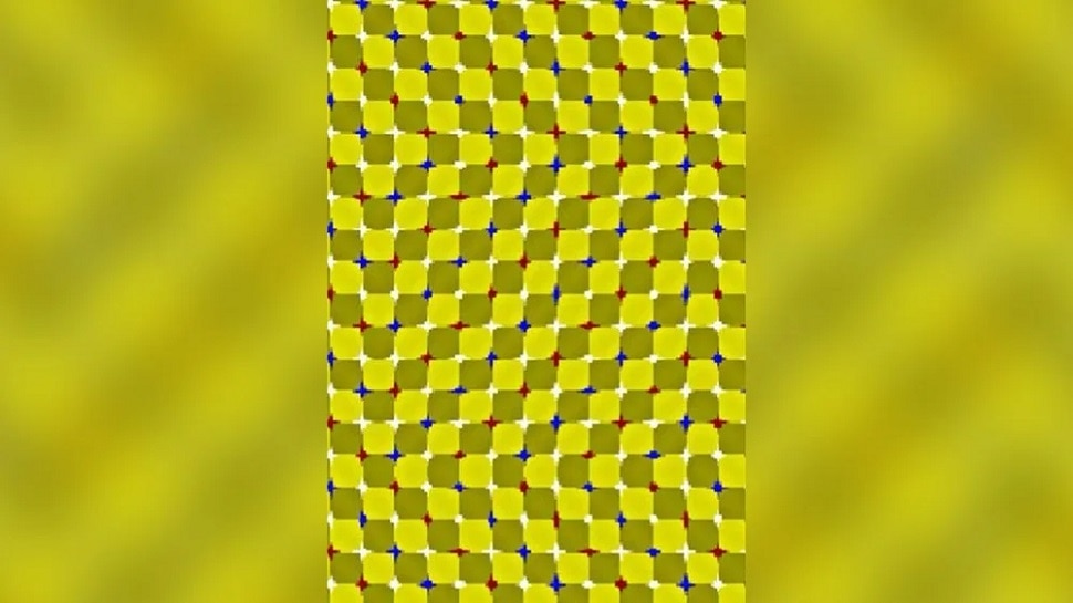 optical illusion try to find out curved lines in the viral photo see ...