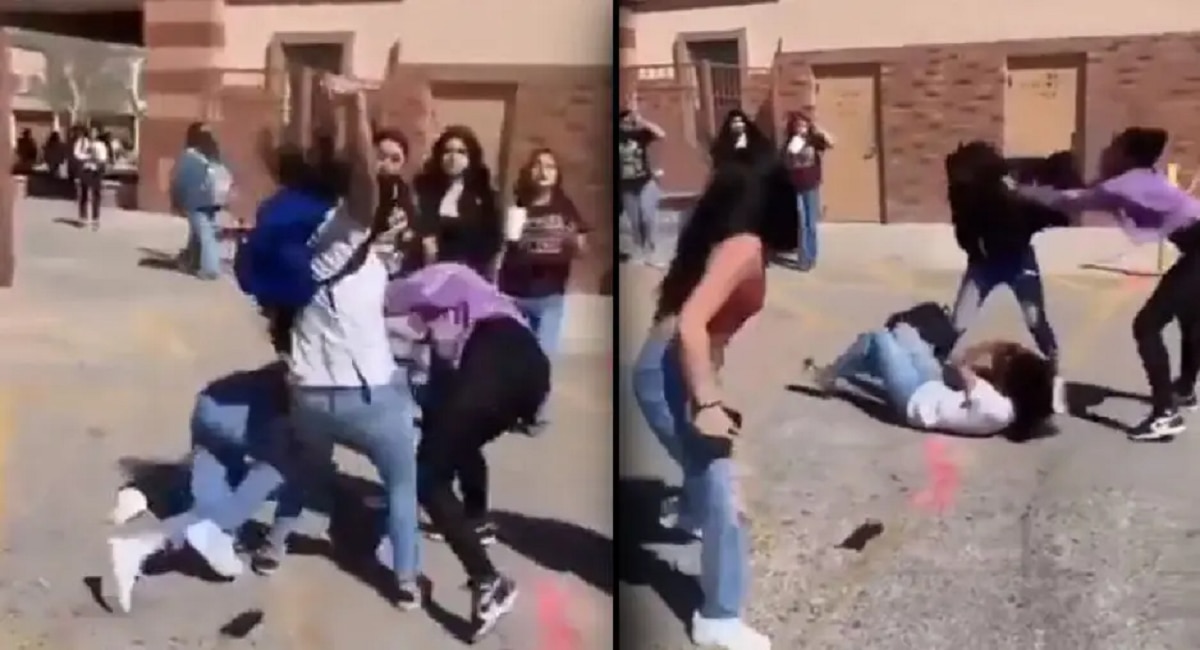 Trending Video college girl fight viral on social media nmp | Video ...