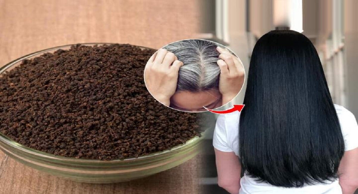 grey hair solution with help of tea leaves at home follow this tips jmp