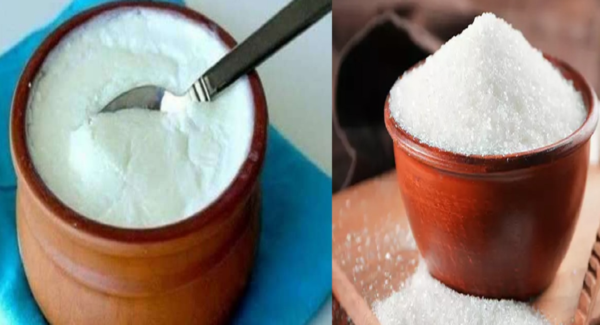 Curd : घरातून बाहेर पडताना दही - साखर खाणे शुभ, 'हे' आहे वैज्ञानिक कारण