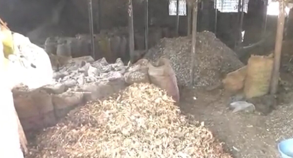 Bone powder manufacturing factories in Nanded endanger the health of ...