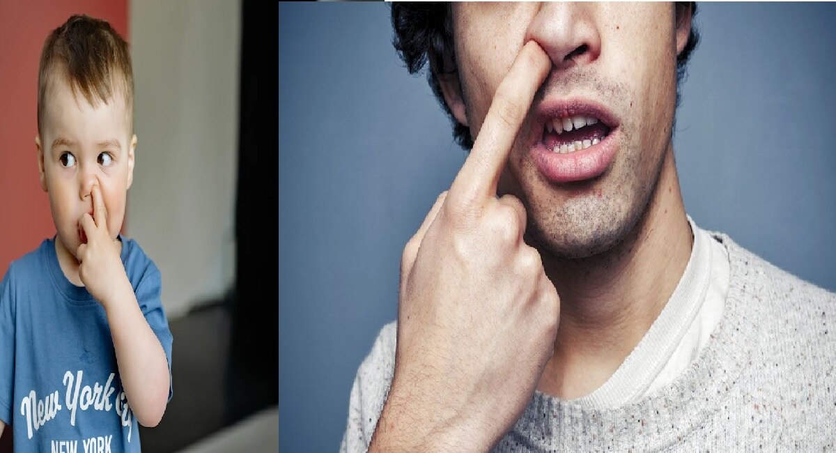 Finger in Nose Side Effect : तुम्हालाही नाकात बोट घालण्याची सवय आहे? मग ...