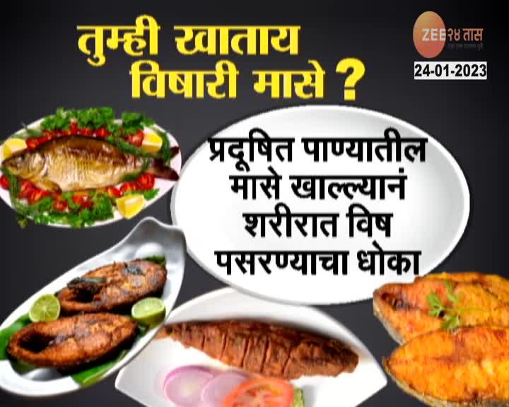 Poisonous Fish | मासे खाणाऱ्यांनो सावधान! माश्यांमुळे ब्रेनस्ट्रोक आणि ...