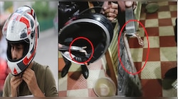 smallest snake in the world News in Marathi, smallest snake in the ...