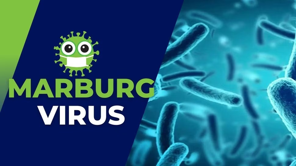 who holds meeting for Marburg Virus know symptoms and precautions | Marburg Virus: संकट अजूनही ...