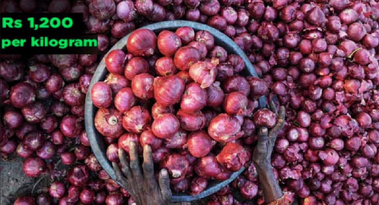 Onion Price: इथं कांद्याला सोन्याचा भाव; एका किलोसाठी मोजावे लागतात 1200 रुपये | Rs 1200 Per Kg ...