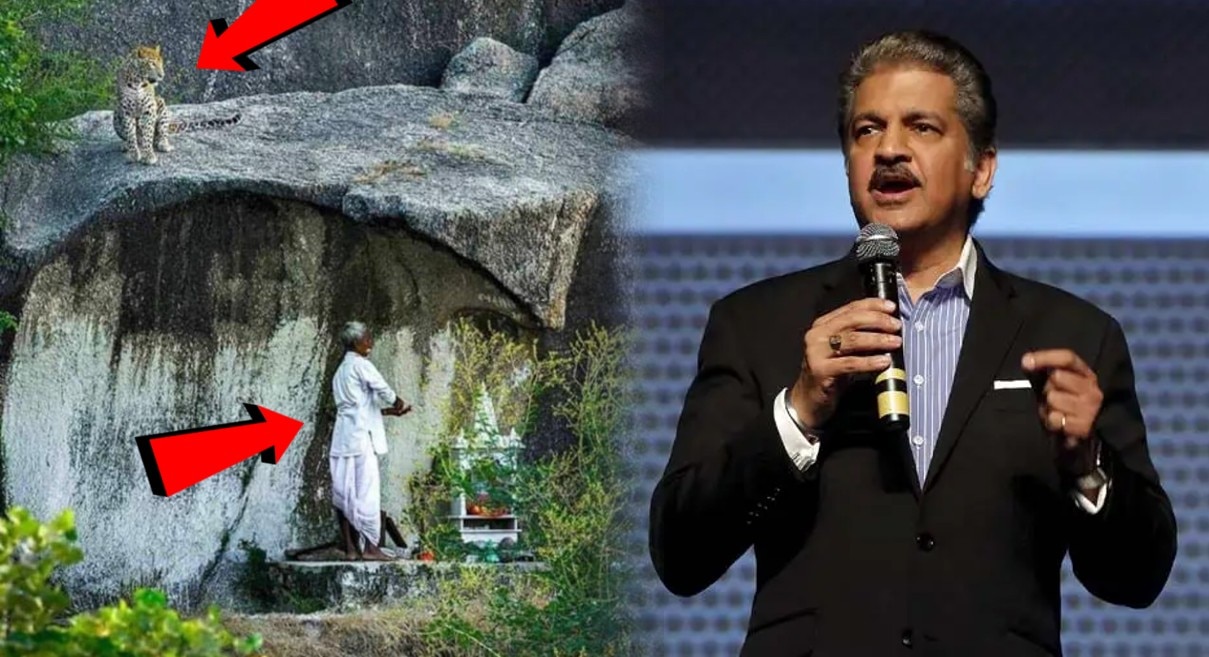 Anand Mahindra पूजेत मग्न पुजारी अन् जवळच बसलेला बिबट्या आनंद