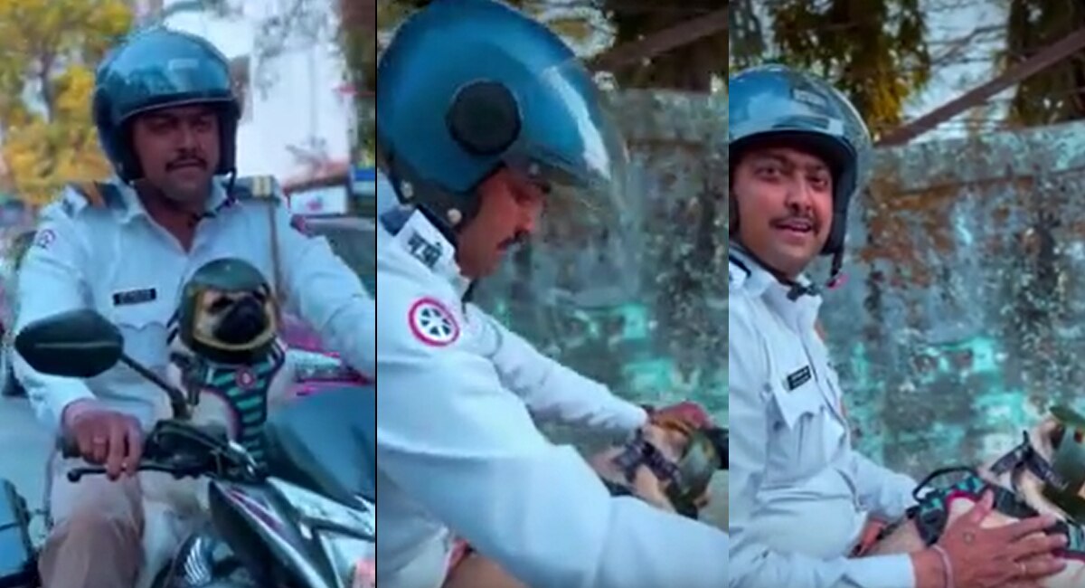 Pune news dog put on a helmet to raise awareness