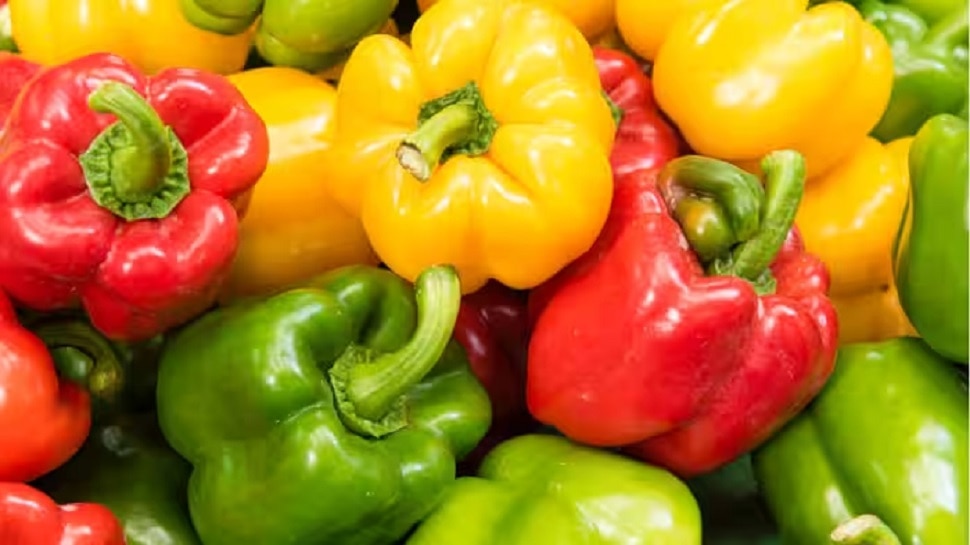 what is the differece between red green and yellow capsicum health news ...