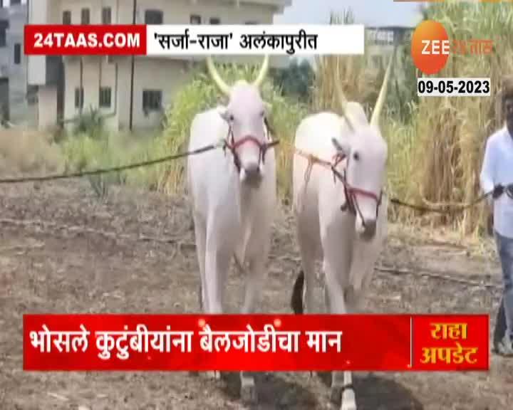 Ashadi Yatra । आषाढी यात्रेसाठी 'यांच्या' बैल जोडीला मान, सर्जा-राजा ...