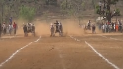 bailgada sharyat News in Marathi, bailgada sharyat Breaking News ...