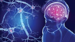World Multiple Sclerosis Day News in Marathi, World Multiple Sclerosis ...