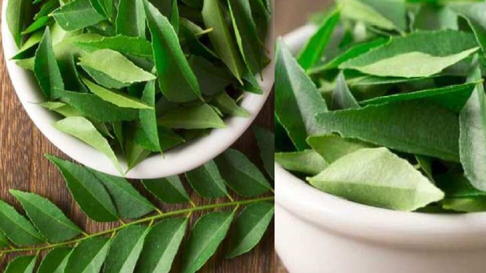 रिकाम्या पोटी कढीपत्ता खाल्यानं शरीराला काय फायदा होतो? | what are the ...