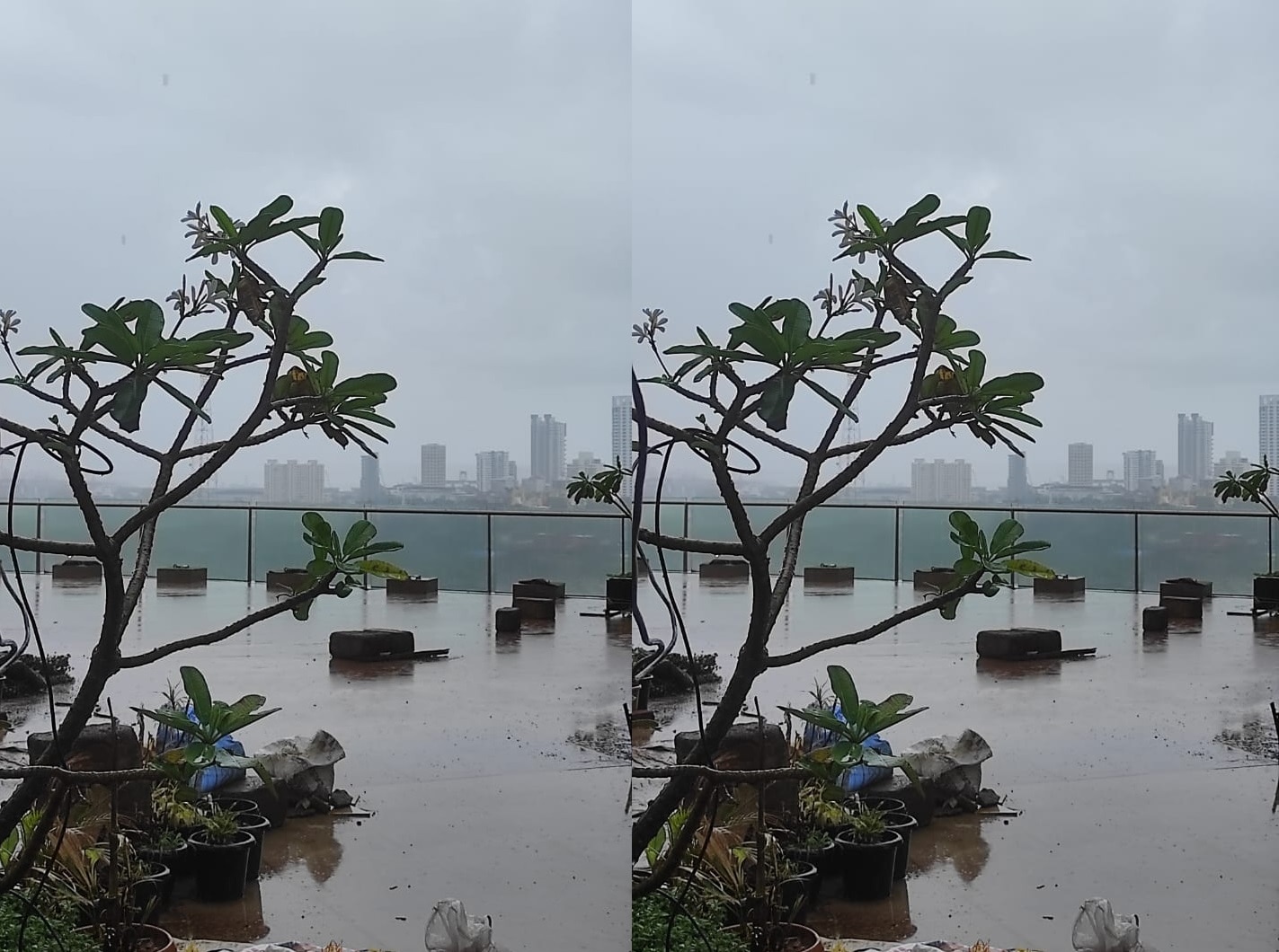 Mumbai Rain मुंबईत पावसाला सुरुवात हाय टाईडचा इशारा Rains Lash