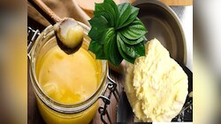ghee making tips News in Marathi, ghee making tips Breaking News ...