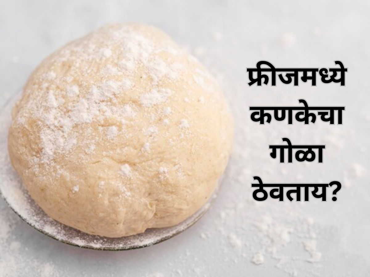 सावधान! कणकेचा गोळा 48 तासांपेक्षा जास्त काळ फ्रीजमध्ये ठेवताय?|Kitchen ... सावधान! कणकेचा गोळा 48 तासांपेक्षा जास्त काळ फ्रीजमध्ये ठेवताय?|Kitchen ...