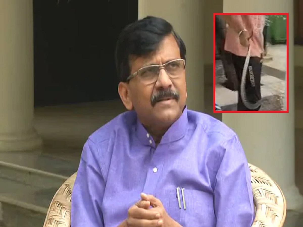 VIDEO : संजय राऊत यांच्या पत्रकार परिषदेत सापाचा फुत्कार; ते बोलत ...