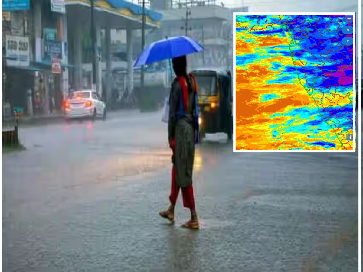 Maharashtra Rain : राज्याच्या 'या' भागांमध्ये यलो अलर्ट, पुढील 4 दिवसात ... Maharashtra Rain : राज्याच्या 'या' भागांमध्ये यलो अलर्ट, पुढील 4 दिवसात ...