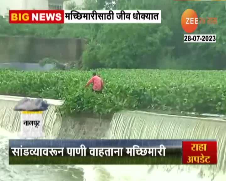 Nagpur Video | धोकादायक पद्धतीने तलावात मच्छिमारी | 24 Taas, Zee News