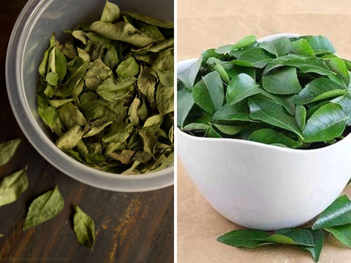 Kitchen Hacks To To Store Curry Leaves For Long Time Tips In Marathi kitchen-hacks-to-to-store-curry-leaves-for-long-time-tips-in-marathi