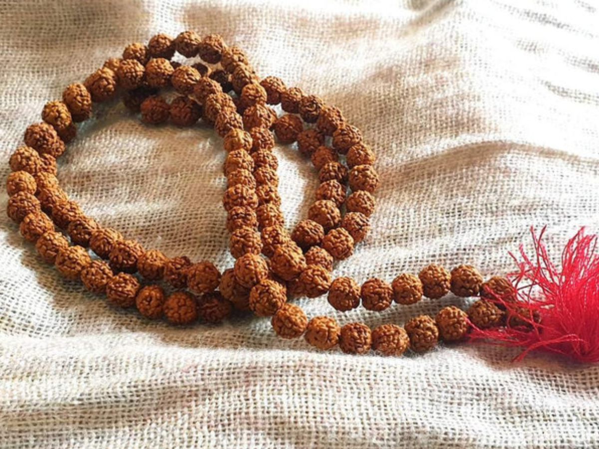 रुद्राक्ष धारण करण्यापूर्वी 'हे' नियम वाचा; राशीनुसार कोणता रुद्राक्ष ...
