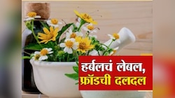 home products for beauty News in Marathi, home products for beauty ...