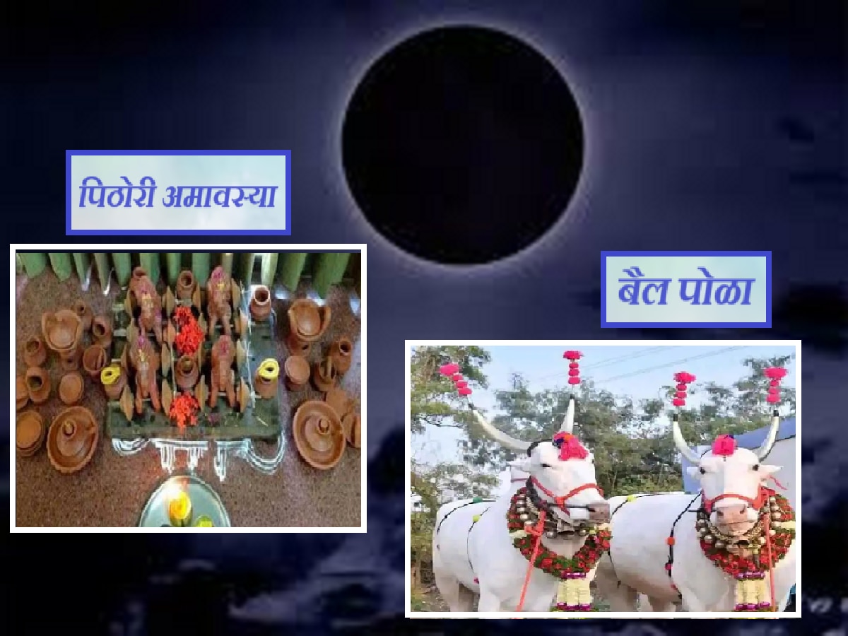 Bhadrapad Amavasya 2023 : आज पिठोरी अमावस्या आणि बैलपोळा! जाणून घ्या ...