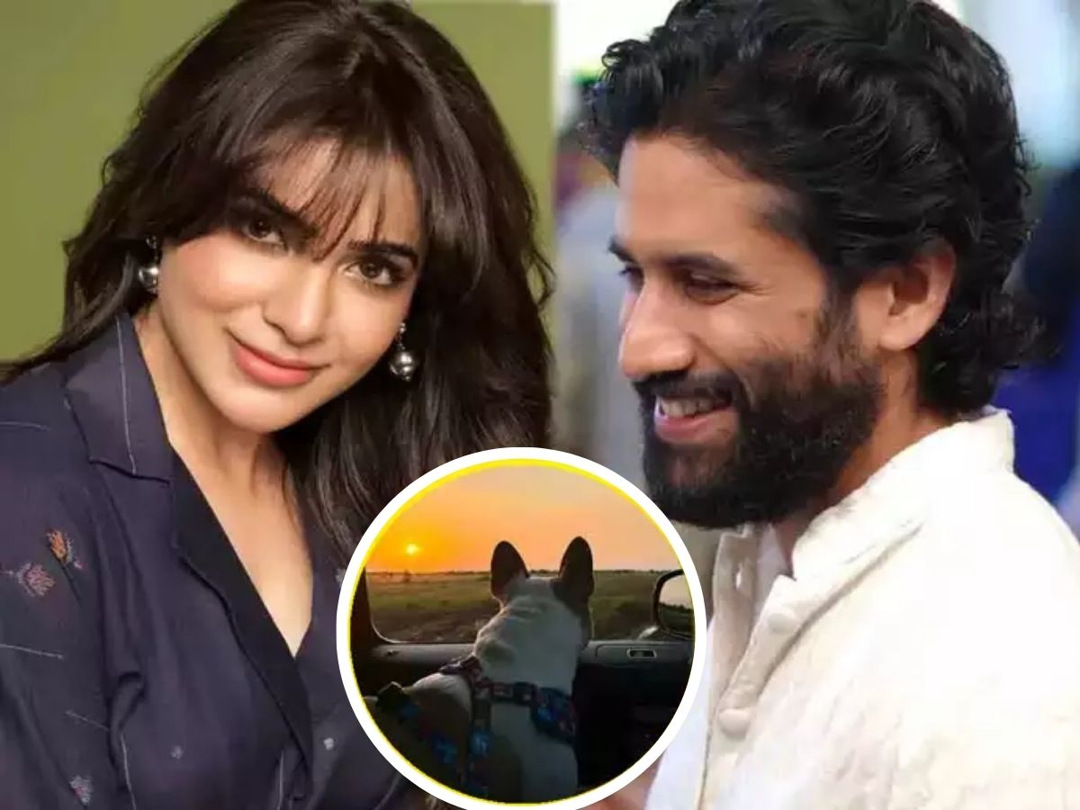 पुन्हा एकत्र आले समांथा आणि नागा चैतन्य? अभिनेत्यानं शेअर केलेल्या 'त्या' फोटोमुळे चर्चांना उधान ...