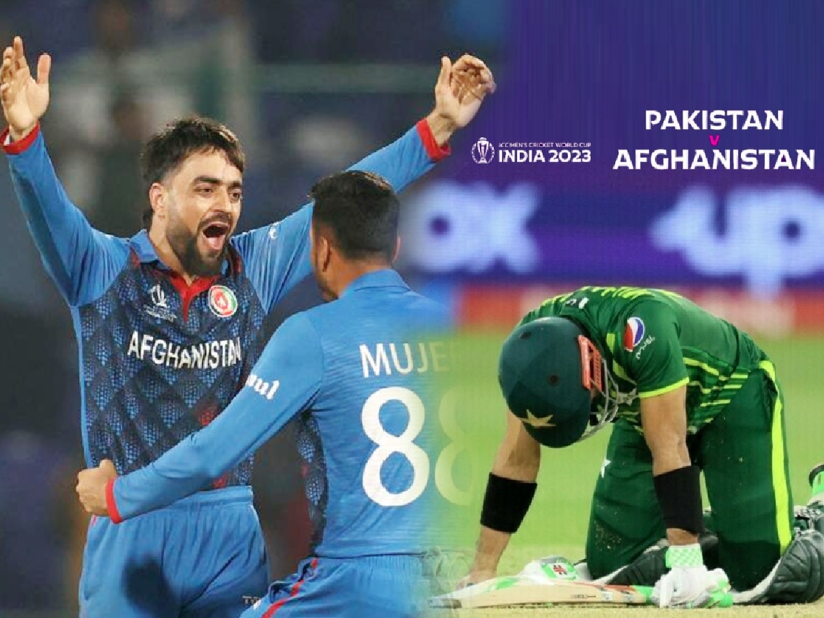 ...तर अफगाणिस्तान पाकिस्तानला हारवेल; PCB च्या माजी अध्यक्षांनीही सोडली संघाची साथ | world cup ...