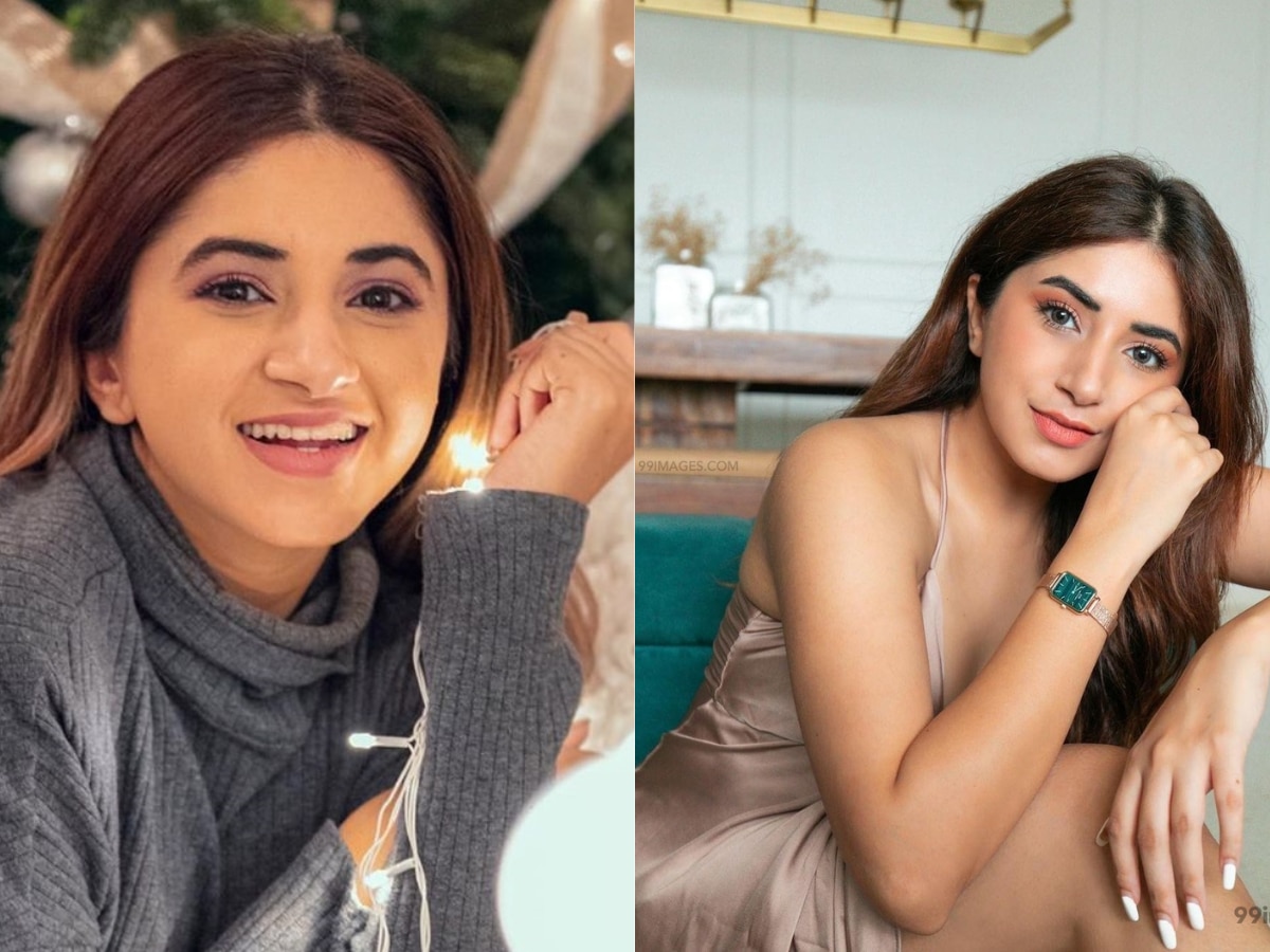 Aashna shroff Networth 37 crores armaan aashna engagement Marathi News ...