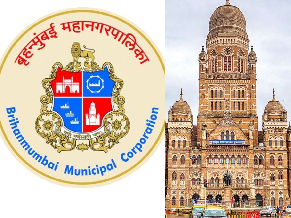 BMC Job Mumbai Municipal Corporation Job;मुंबई पालिकेत बंपर भरती, 96 हजारपर्यंत पगार; 'येथे ...