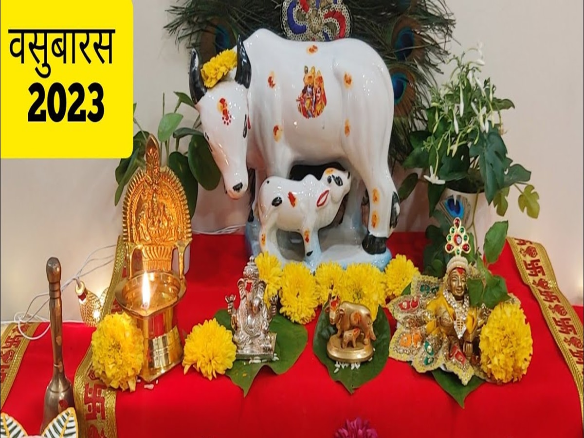 Vasubaras 2023 : आली दिवाळी! गाई वासरांची दिवाळी वसुबारस 9 नोव्हेंबरला ...