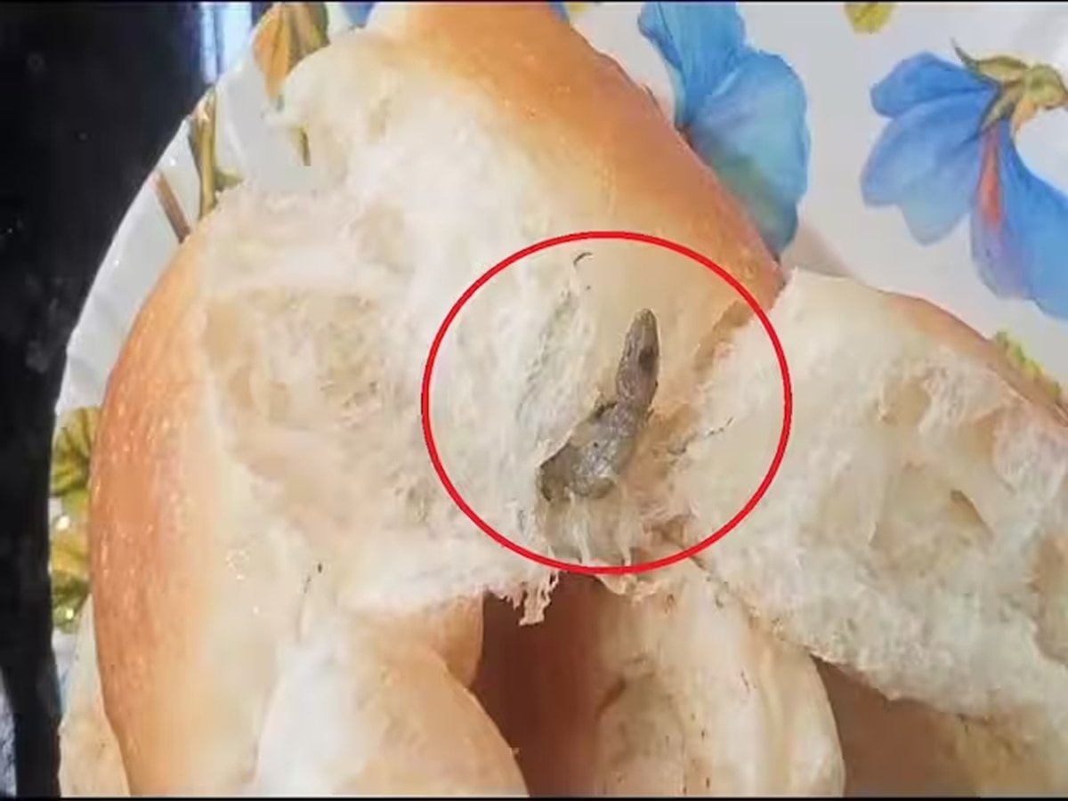 चहा-पाव, वडा पाव खाणाऱ्यांसाठी धक्कादायक बातमी, नरम पावात मेलेली पाल ...