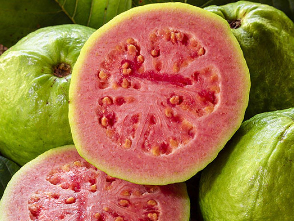 'या' पाच लोकांनी चुकूनही खावू नये पेरू; तब्येत बिघडवून घ्याल|People who should be careful while ...