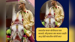 why groom sit on mare in wedding News in Marathi, why groom sit on mare ...