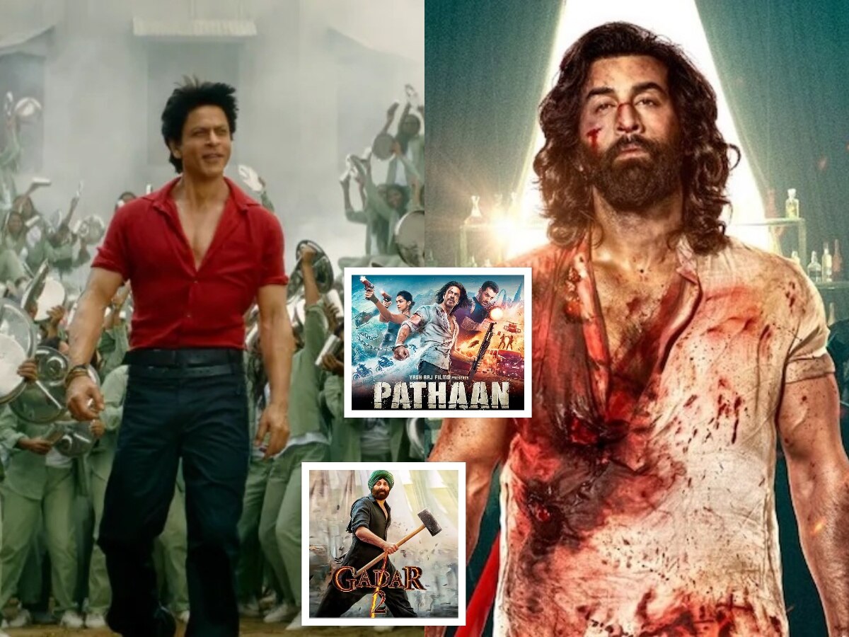 बॉक्स ऑफिसवर 'अ‍ॅनिमल' चित्रपटाचा 'गदर'; 2 दिवसात 100 कोटींचा आकडा केला ...