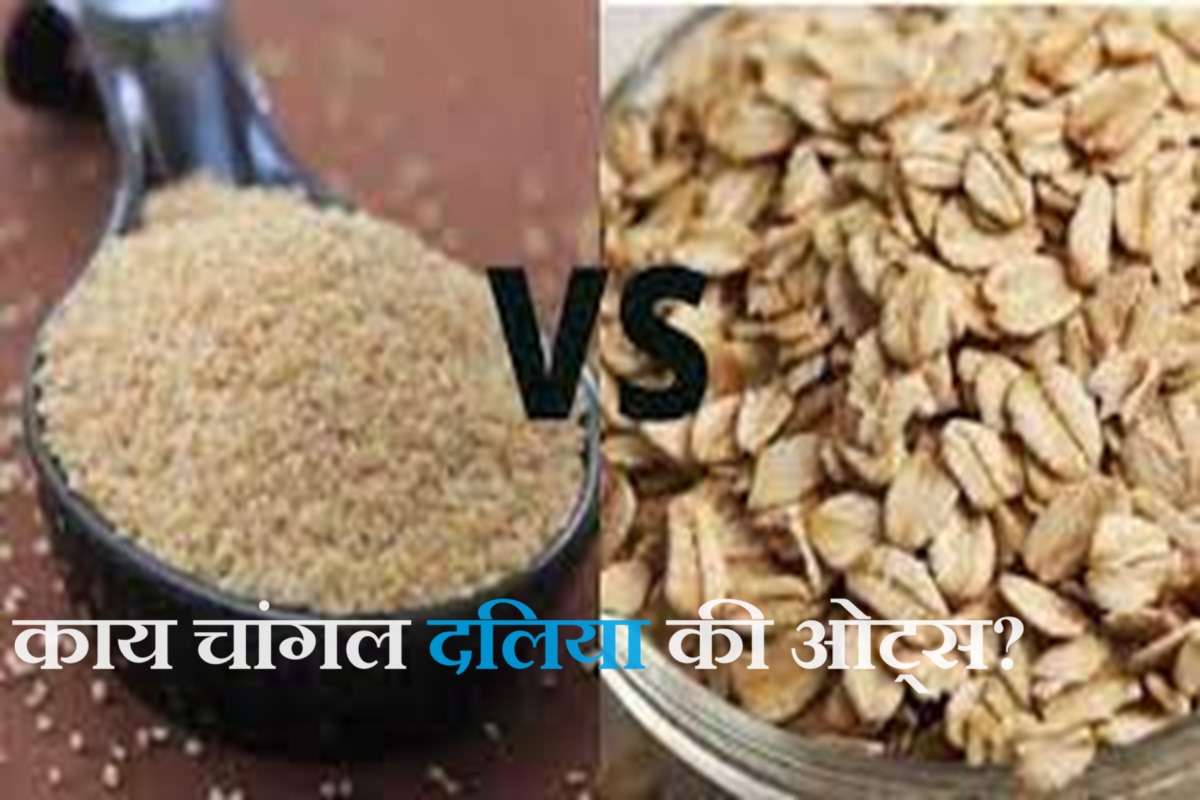 Dalia vs Oats : ओट्स की दलिया आरोग्यासाठी काय चांगल? 'या' लोकांसाठी ...