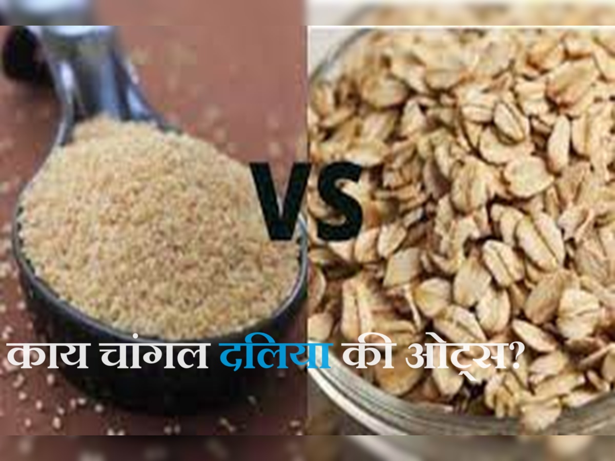 Dalia vs Oats : ओट्स की दलिया आरोग्यासाठी काय चांगल? 'या' लोकांसाठी ...