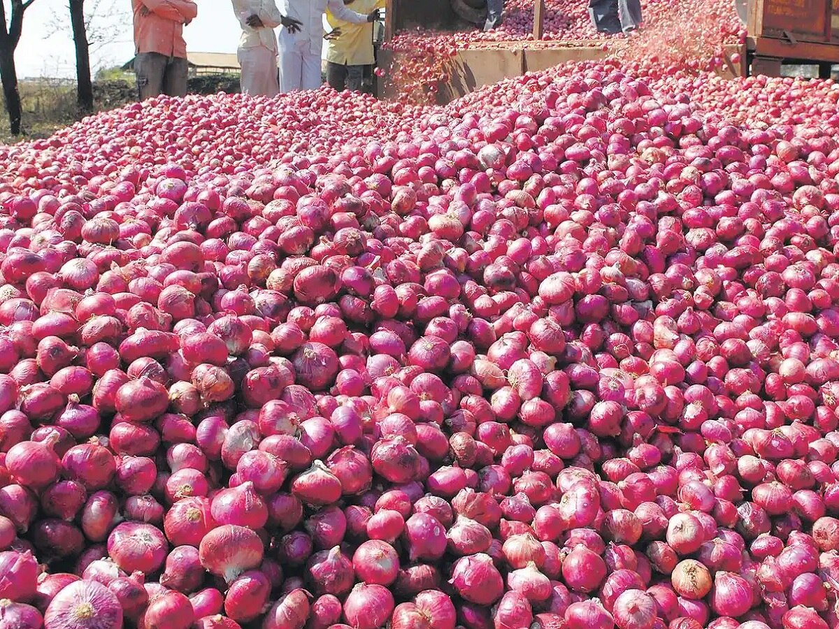 शेतक-यांसाठी आनंदाची बातमी; केंद्र सरकारने कांद्यावरील निर्यात बंदी उठवली | The central ...