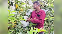 आधुनिक शेतीतून भरघोस उत्पन्न News in Marathi, आधुनिक शेतीतून भरघोस ...