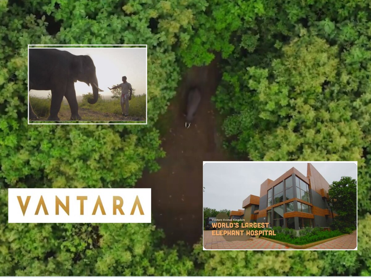 Do You Know Meaning of Vantara Anant Ambani Dream Project; अनंत अंबानी ...