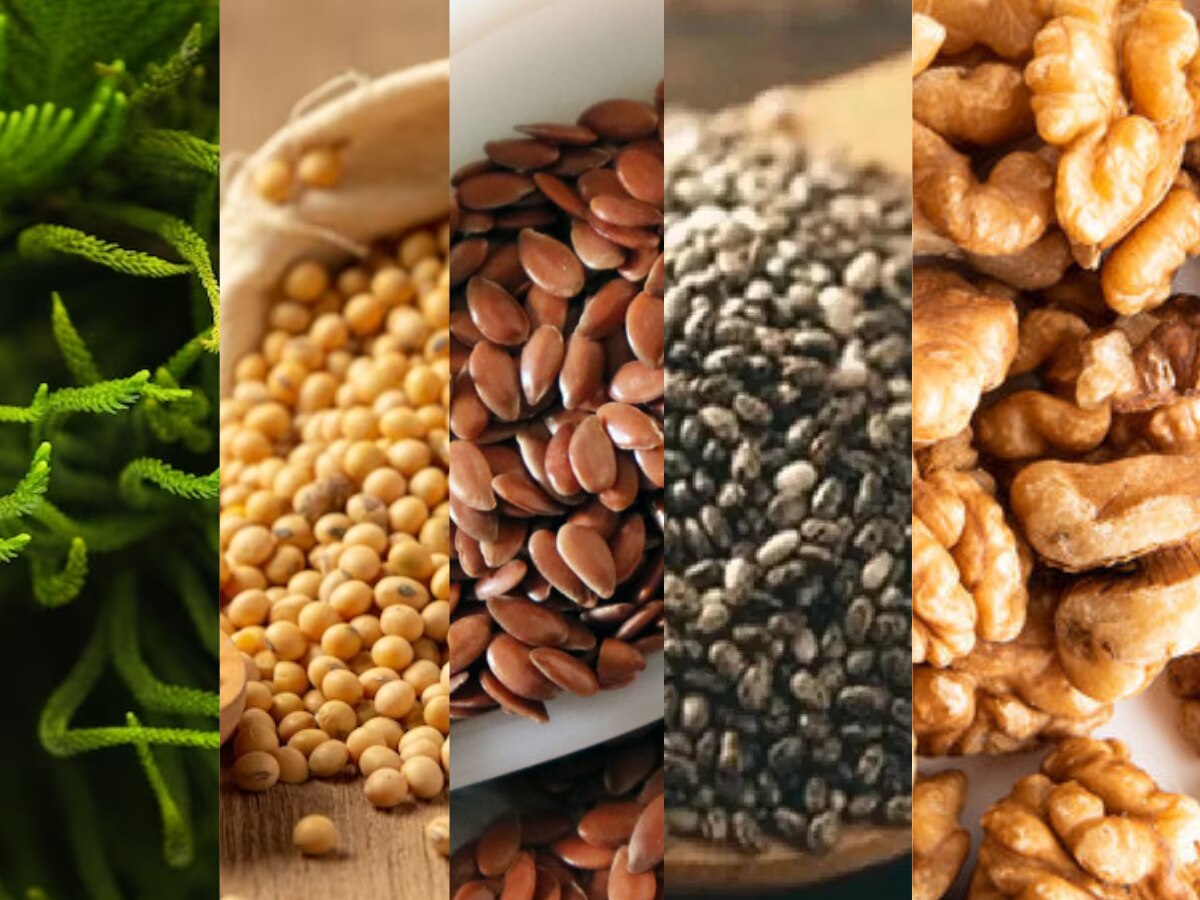 Vegetarian Foods are High in omega 3 Health Tips;मासे नव्हे, तर 'या ...
