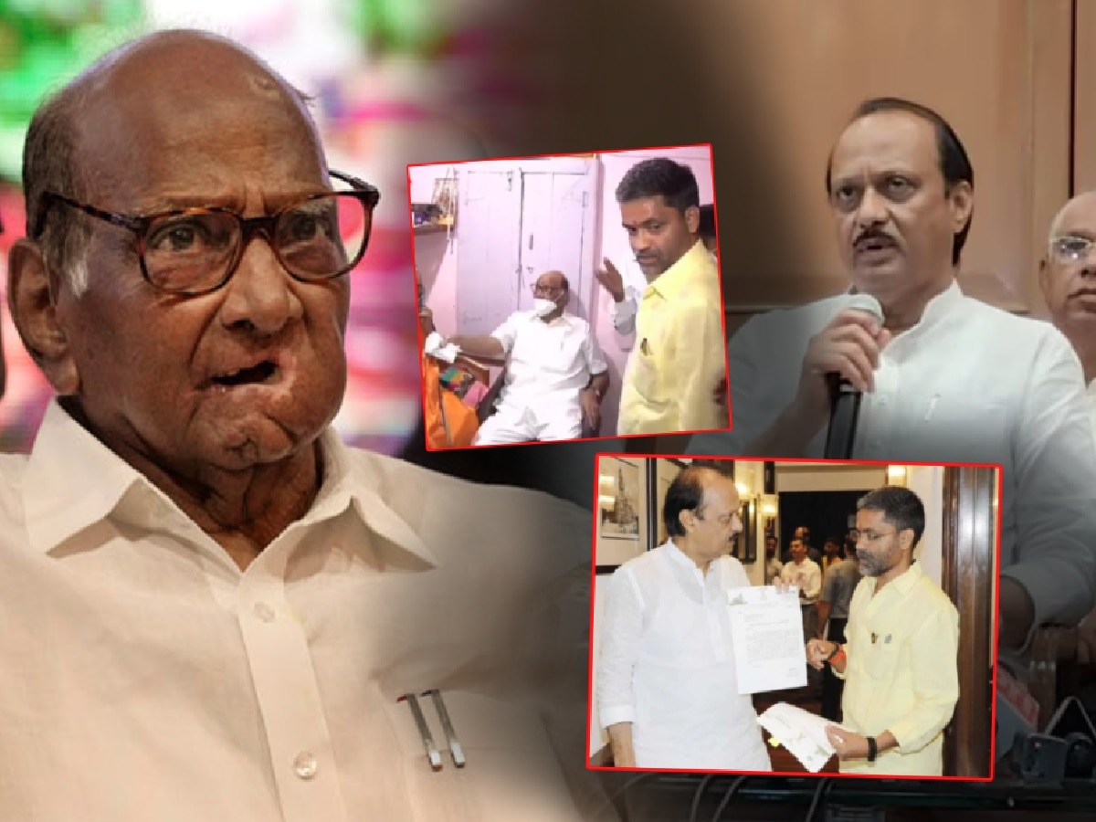 'निलेश जाऊ शकत नाही, त्याला जायचं असेल तर...'; लंकेच्या पक्षांतरासंदर्भात अजित पवार स्पष्टच ...