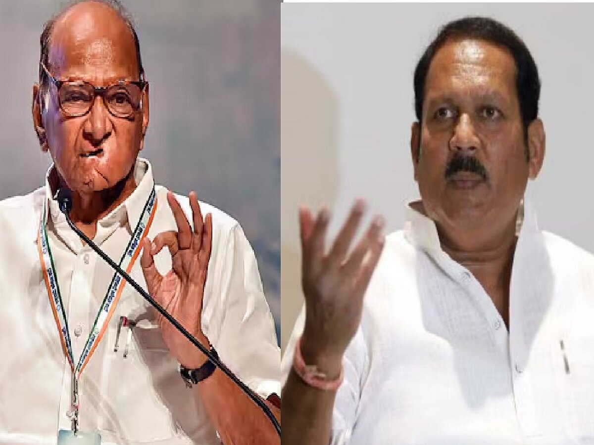 साताऱ्याचा उमेदवार ठरला? पृथ्वीराज चव्हाण नाही तर शरद पवार गटाचा हा बडा ...