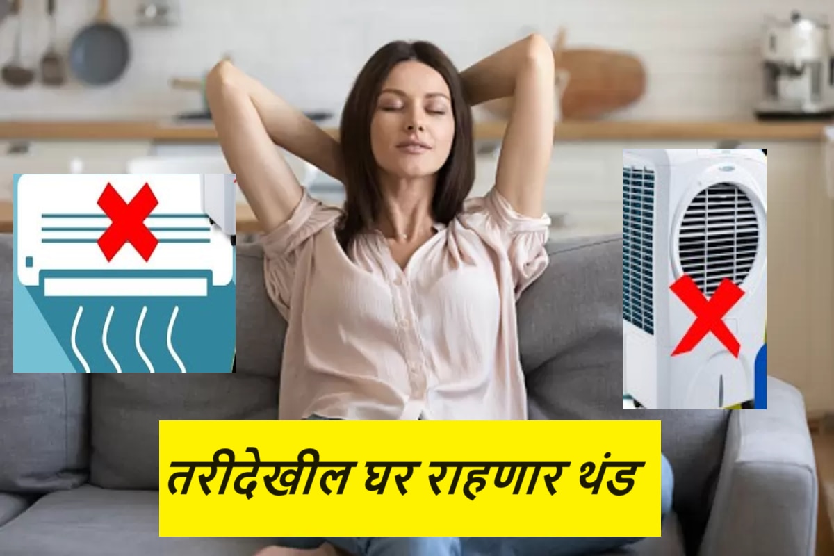 AC, कुलर न घेता भर उन्हाळ्यातही घर कसं राहील थंडगार? जाणून घ्या उपाय | How will the house stay ...