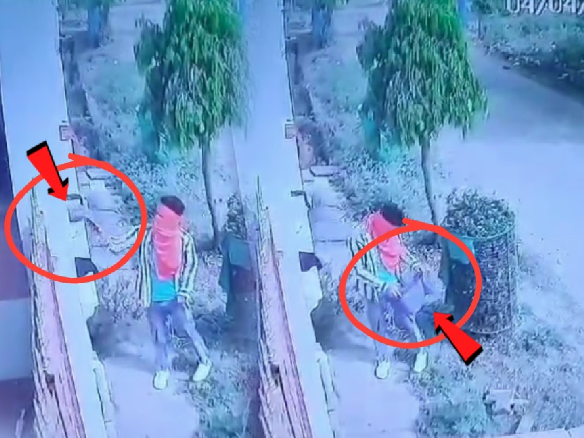 'चड्डी चोर गँग'चा सुळसुळाट! अंतर्वस्त्र चोरतानाचा CCTV समोर आल्यानंतर ...