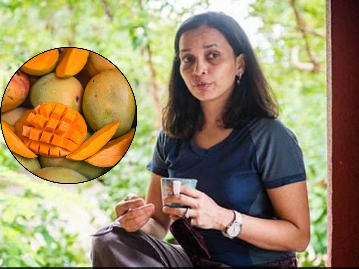 Mango Health Benefits According To Rujuta Diwekar; आंब्यामुळे वजन आणि ...