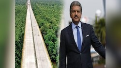 Anand Mahindras Pench Tiger Reserve post News in Marathi, Anand ...