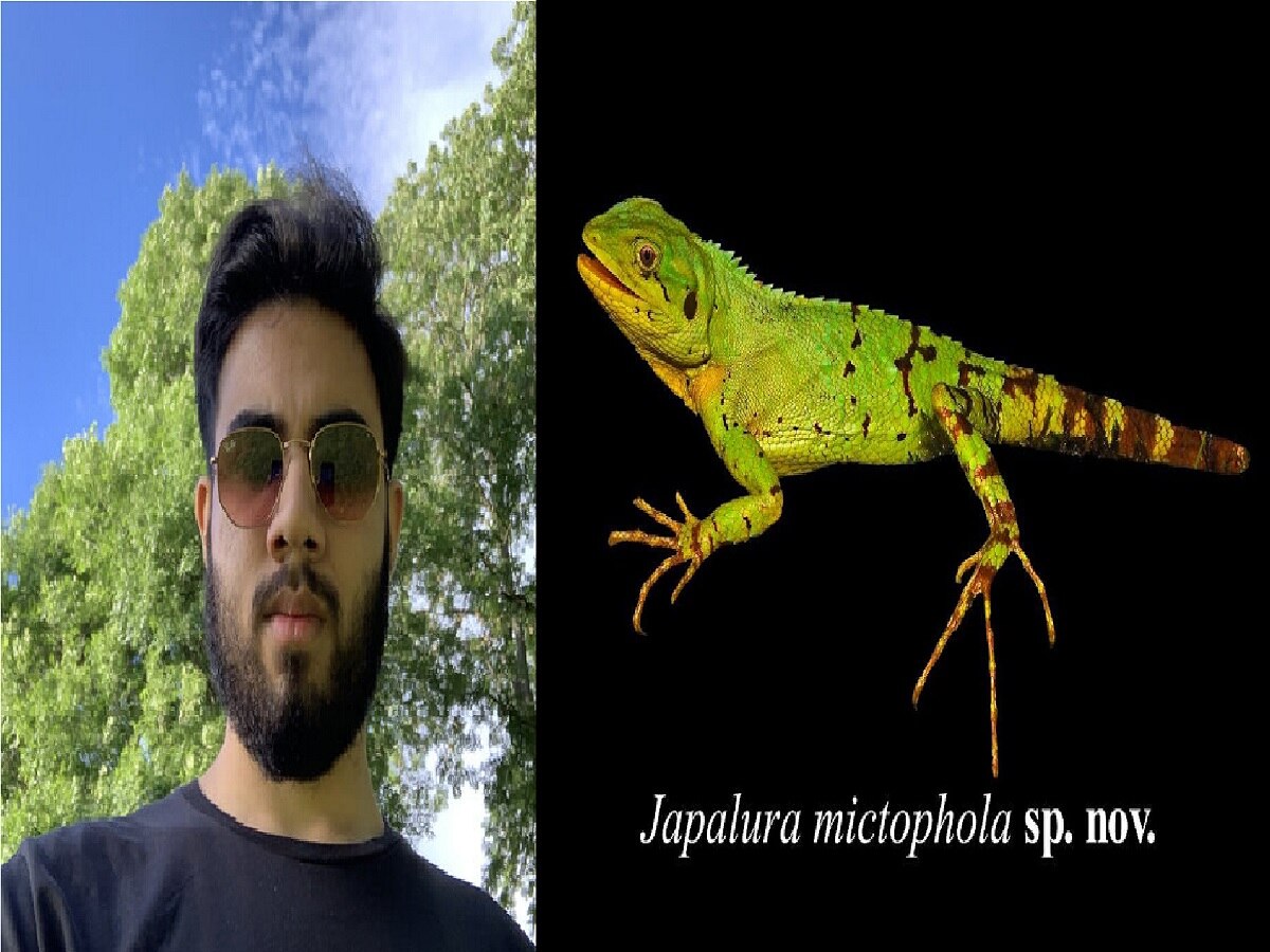 उद्धव ठाकरे यांचे पुत्र तेजस ठाकरे आणि त्यांच्या टीमनं लावला सरड्याच्या ...